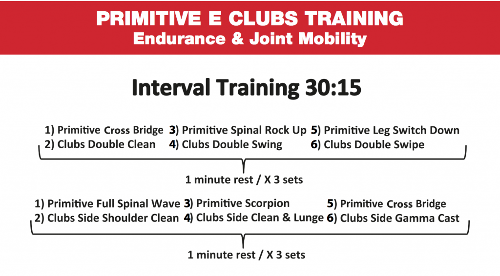 Clubs Training: ancient tools for modern warriors! | WTA Functional ...