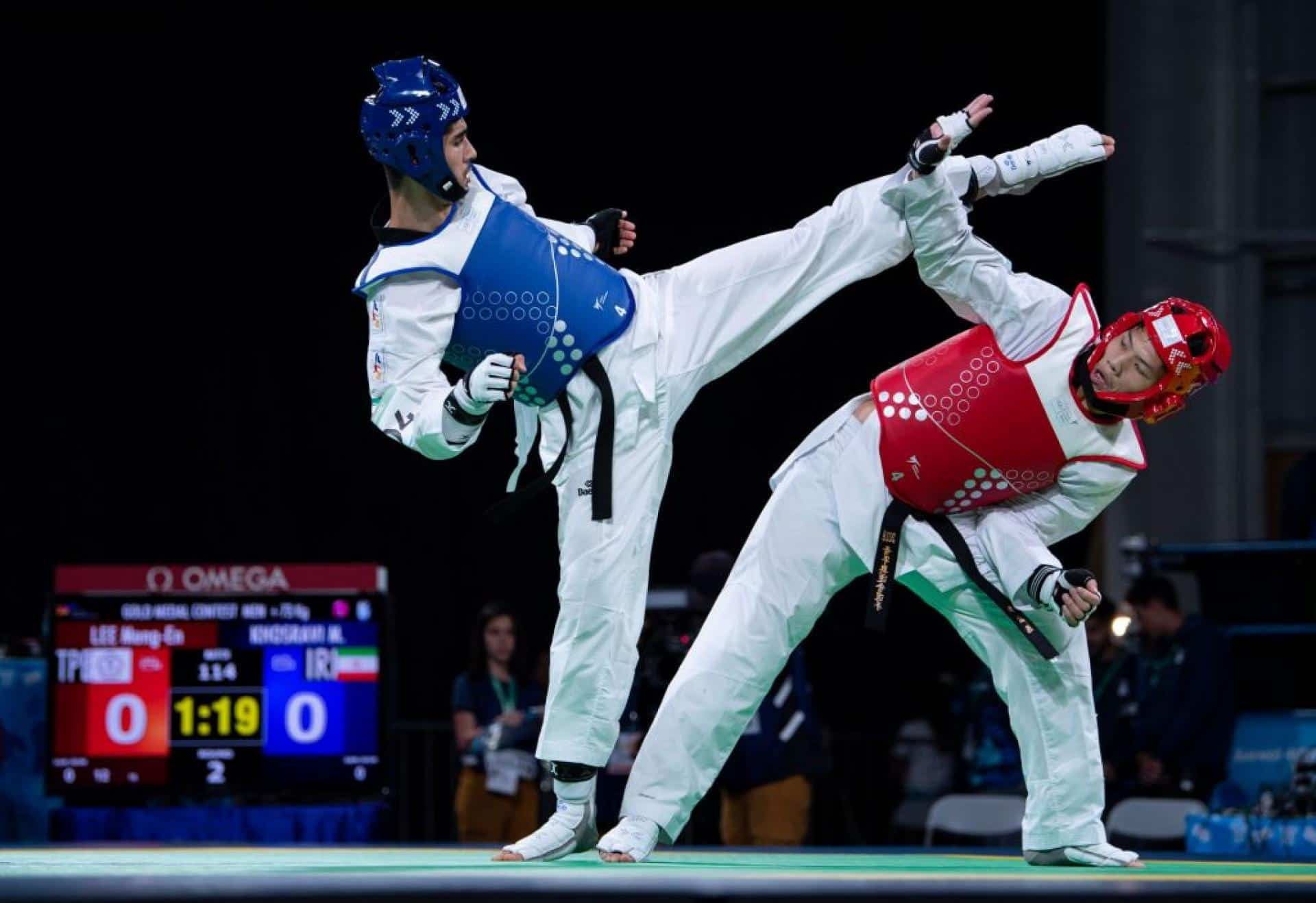 Allenamento Funzionale nella preparazione del Taekwondo Olimpico | WTA ...