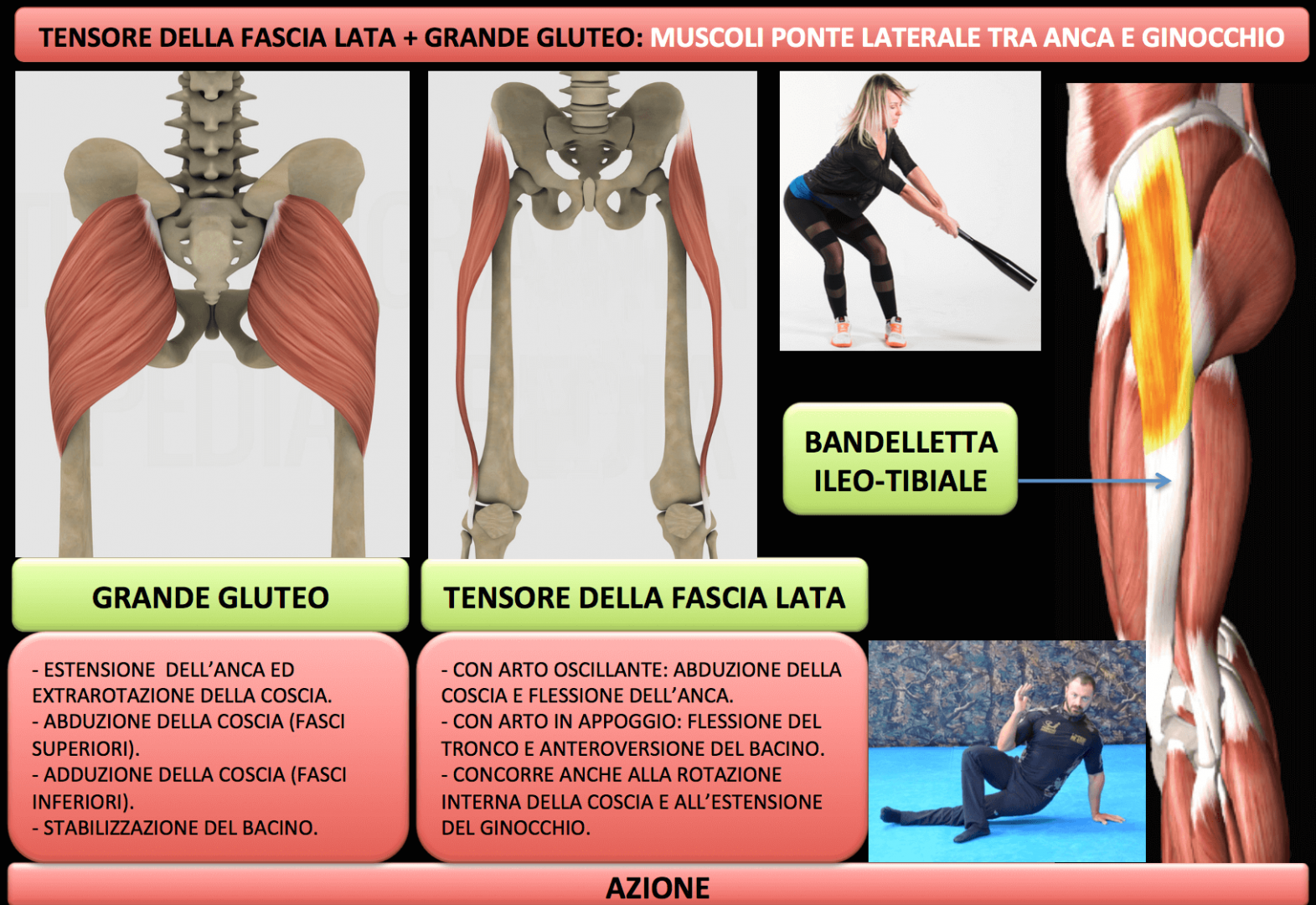 Come allenare i glutei in maniera efficace e funzionale | WTA ...